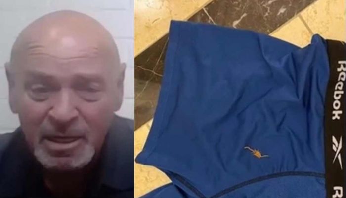 Hombre sufre picadura de escorpión en testículos mientras dormía en un ...